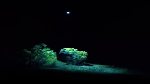 High-Speed UFO Caught Over Grand Canyon in Split-Second Footage ...